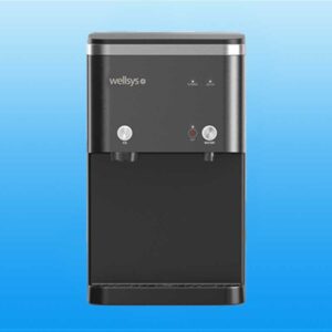 Wellsys i16 - Ice Makers & Drinking Water Systems - Pure Water ...